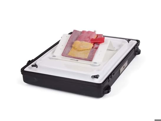 Vermfrm Appx-Retrocaecal | Laerdal Medical