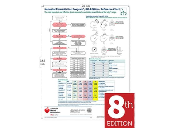 NRP Wall Chart, 8th ed. Single unit 22" x 34" | Laerdal Medical