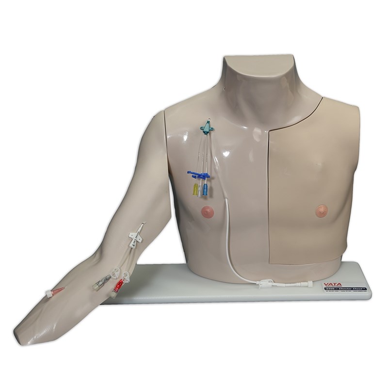 CHESTER CHEST W-STD ARM | Laerdal Medical