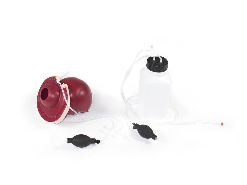 PROMPT Flex PPH-modul | Laerdal Medical